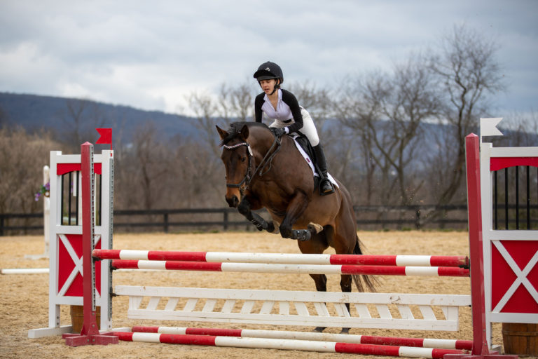 Starter Horse Trials And Combined Tests starter-horse-trials-and-combined-tests